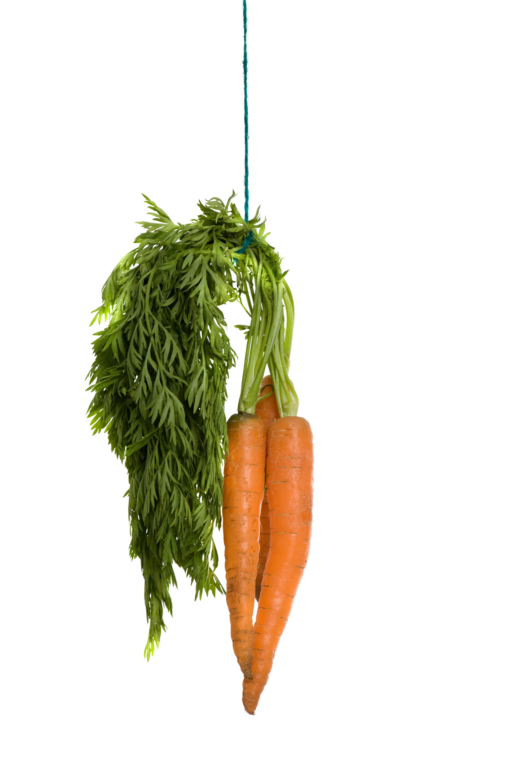 Dangling Carrots - The Endless Journey Home